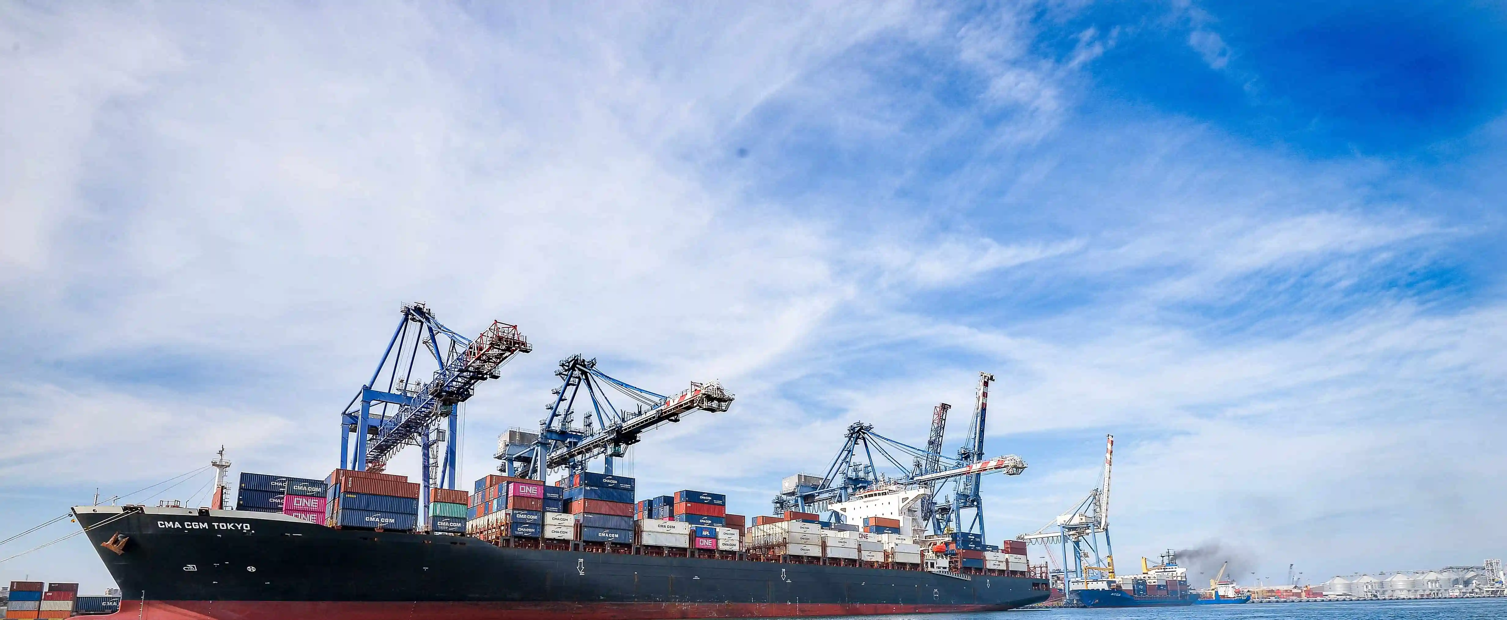 PSCCHC | Port Said Container And Cargo Handling Company